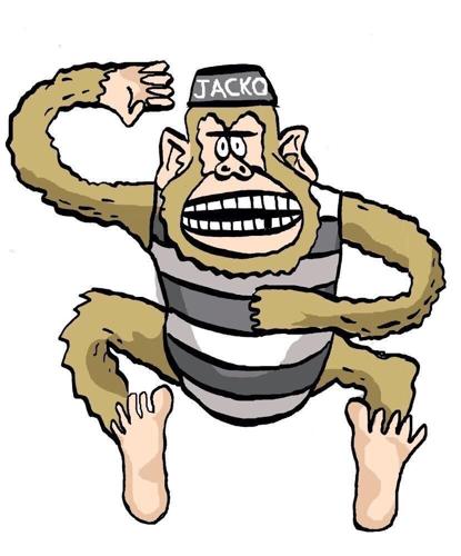 The legend of ‘Jacko the Killer Monkey’ and the Dundurn Park Zoo