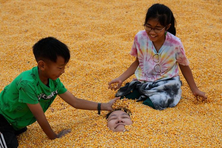 Giant Northern California corn maze lets visitors enjoy getting lost
