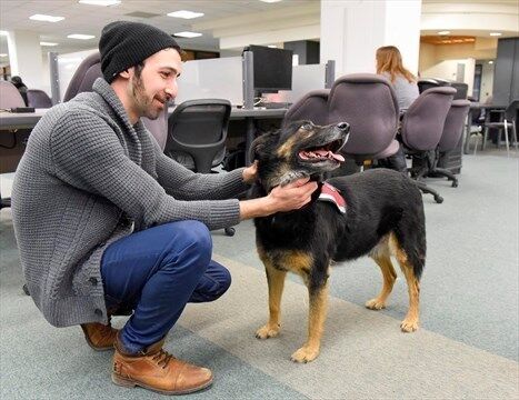 After working like a dog for four years at McMaster University, Liam ...