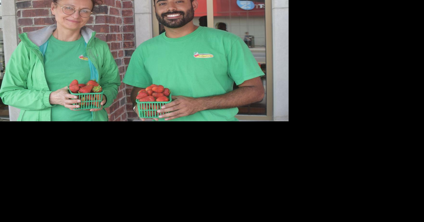 5 things to do in Stoney Creek