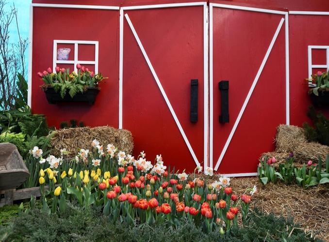 Weekend planner: More than a dozen things to do around Hamilton