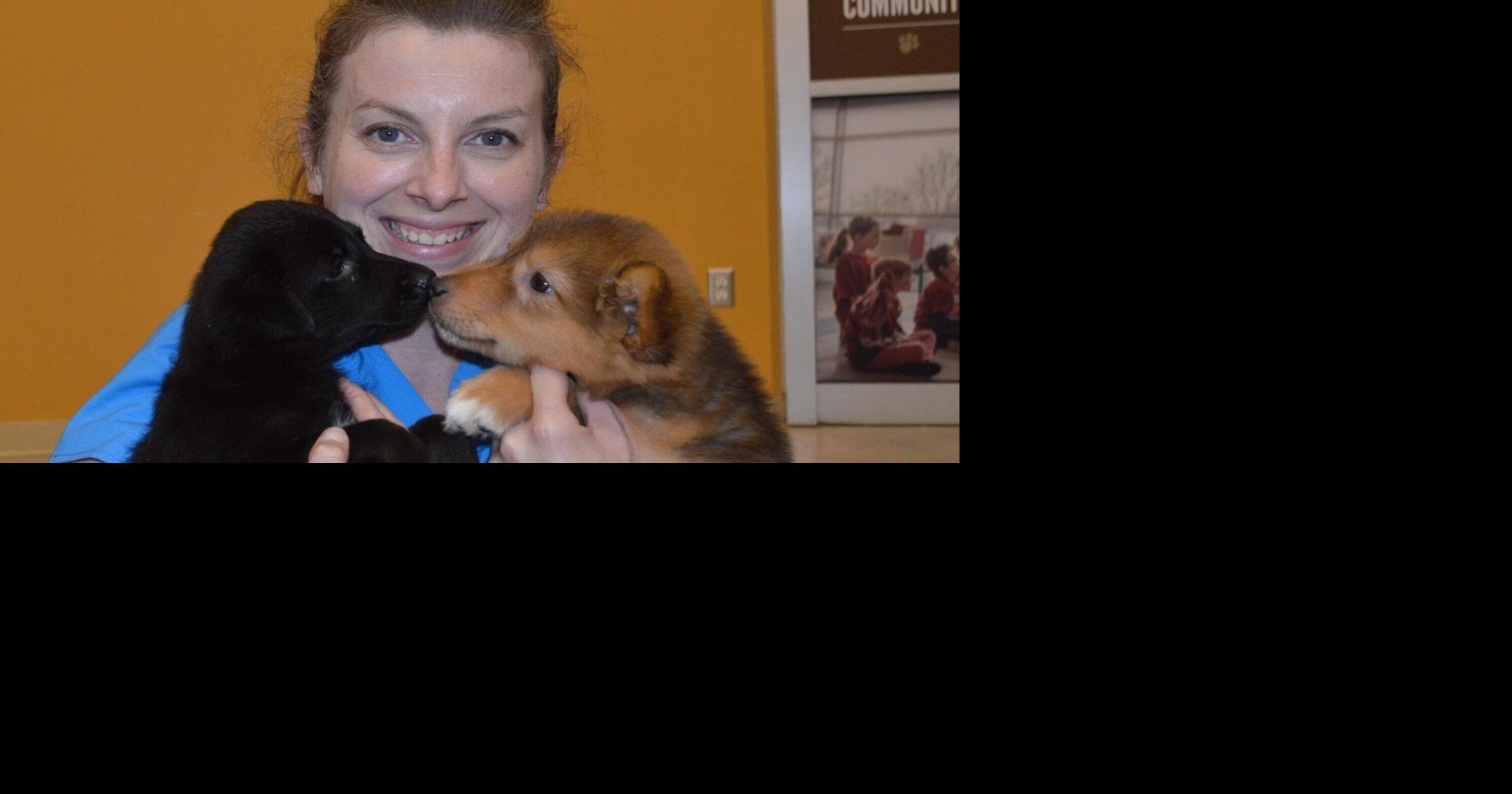 Hamilton/Burlington SPCA launches fall lottery