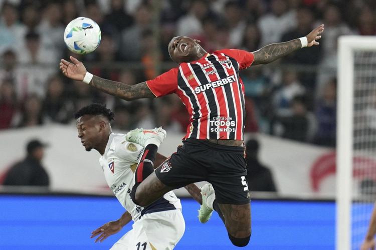 Pink dolphins, Independence Day celebrations and more top photos this ...