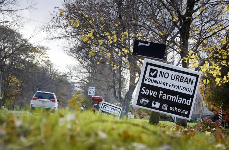 What happens next after Hamilton urban boundary flip-flop?