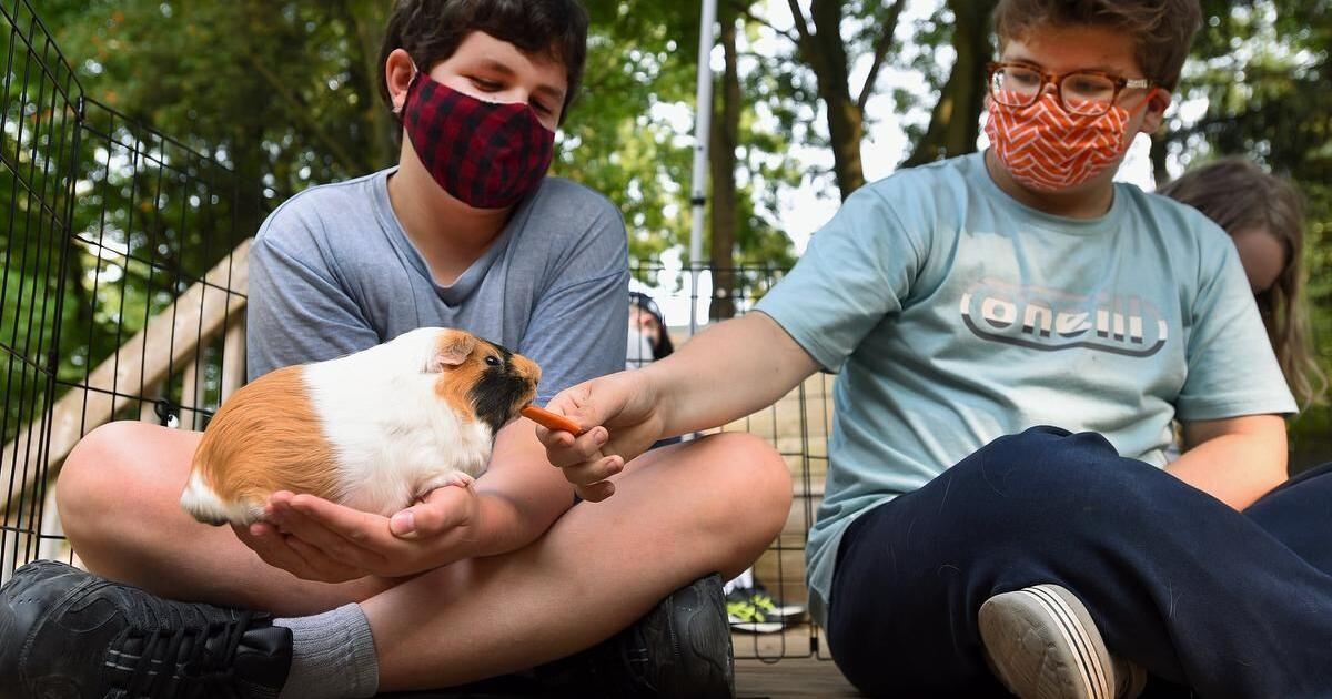 Growing Together program in Ancaster helps kids build relationships