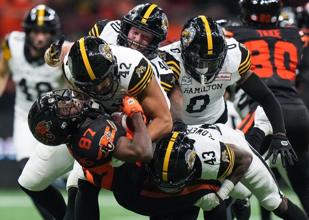 Ticats roar back into playoff picture with win over Lions