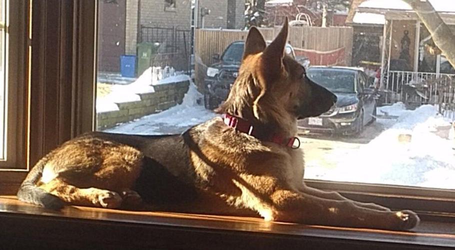 Uplifting news from 71-year old powerlifter Linda Rousseau