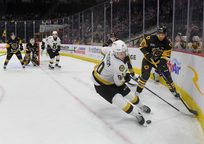 Bulldogs love their Family Days