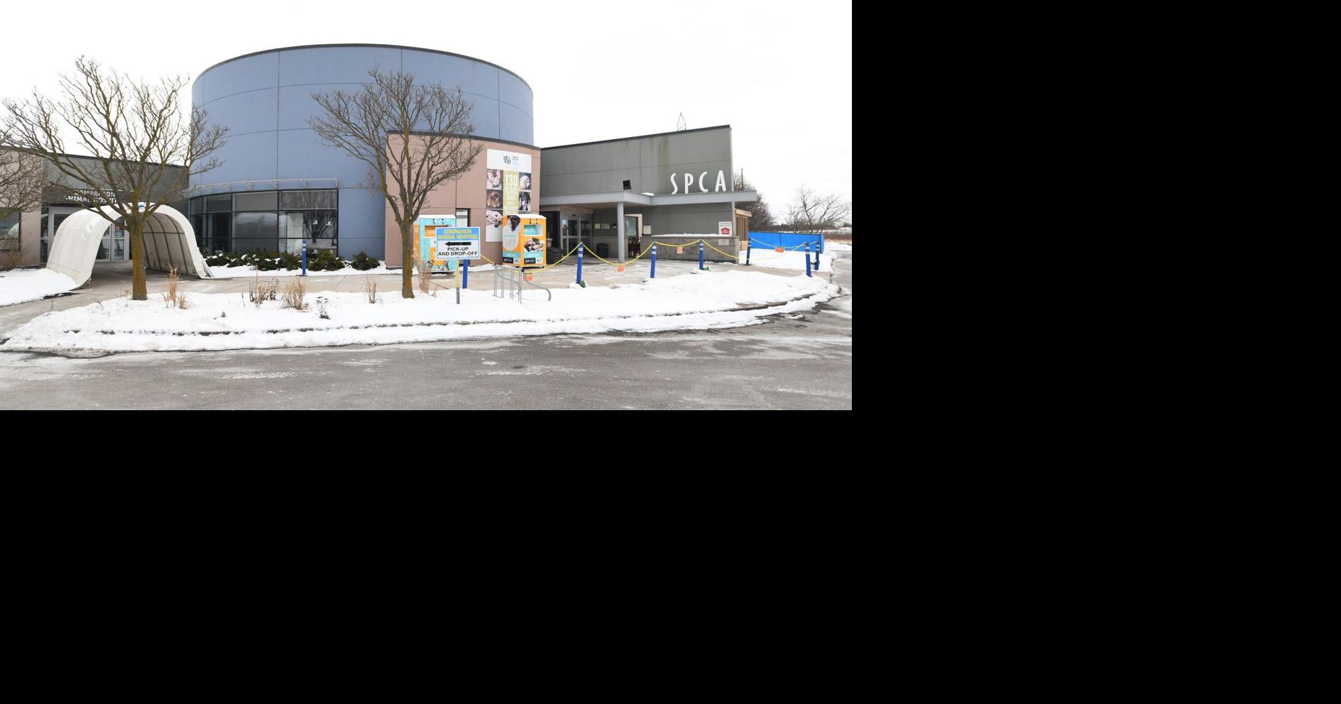 SPCA clinic addresses Hamilton’s feral cat population