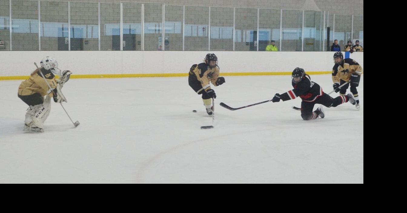 Hamilton prepares to upgrade Chedoke Twin Pad Arena