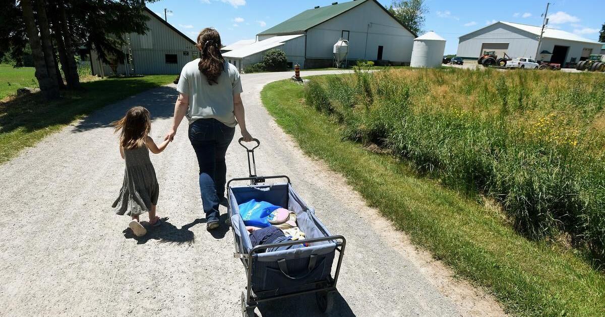 Snapshot of farm life: Amid rapidly disappearing farmland one Hamilton ...