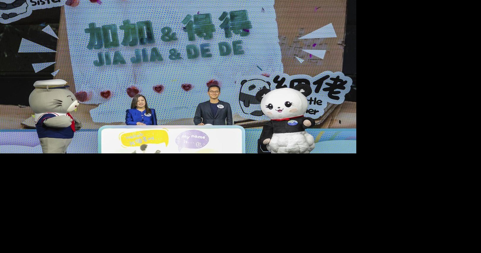 Meet Jia Jia and De De, Hong Kong's first locally born giant pandas