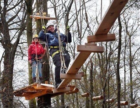 Up and away, Tarzan: Zip line adventure park opens in Binbrook