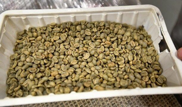 VIDEO: Step inside Tim Hortons roastery in Ancaster