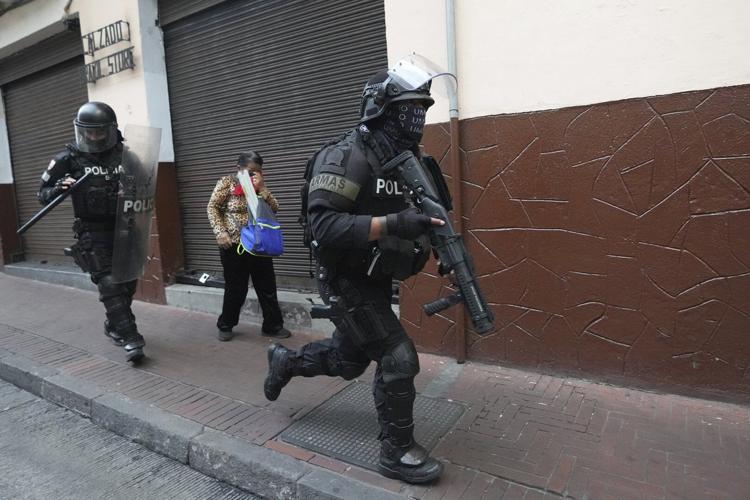 Pink dolphins, Independence Day celebrations and more top photos this ...