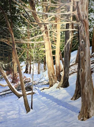 Natural selection: Four painters explore the forest