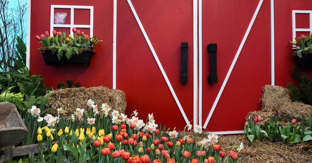 Spring Tide Bulb Show at Gage Park welcomes the season