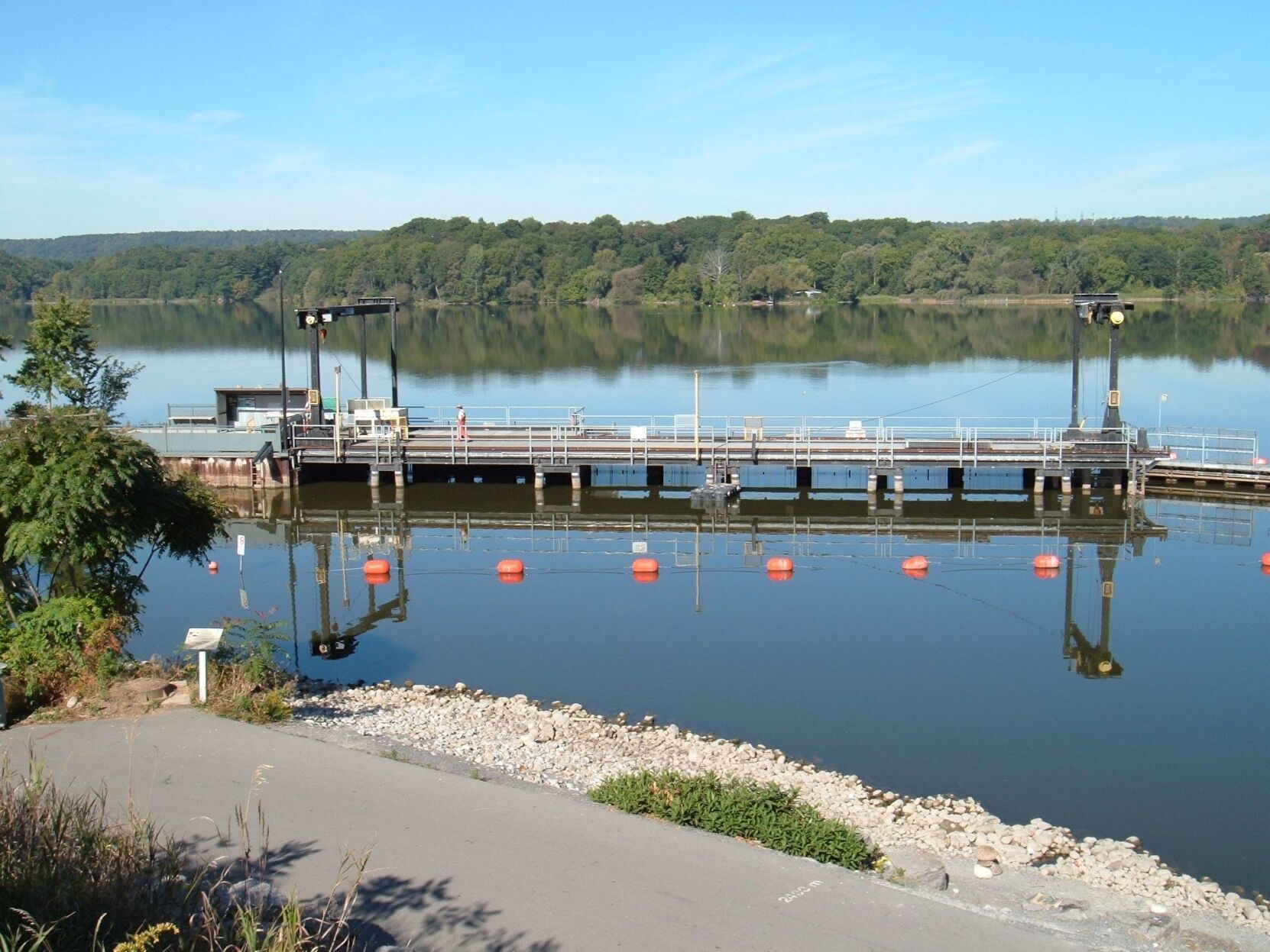 Saving Paradise: the long road to rehabilitate Cootes