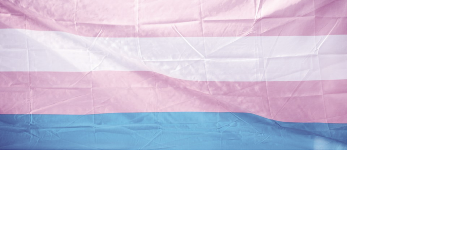 Transgender awareness week: why community matters now more than ever