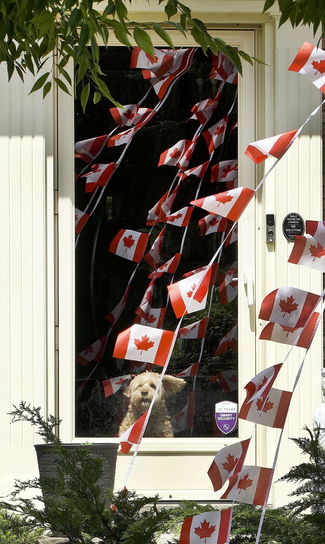 Mountain street transforms into Canada Day display