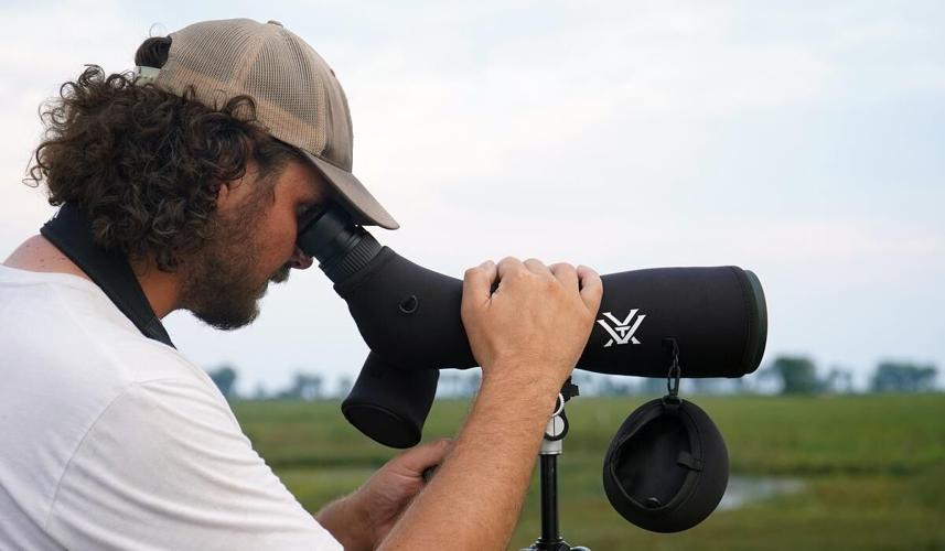 Massive ring of birds captured on radar sparks interest in Long Point ...