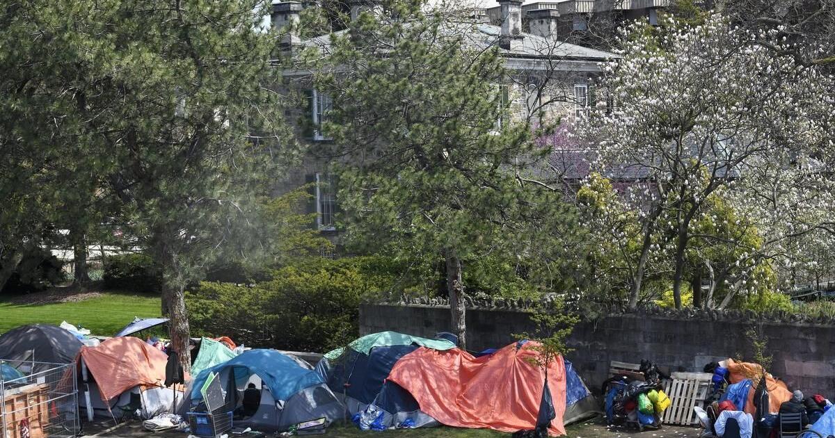 Folks encamped behind Hamilton city hall ordered to clear out