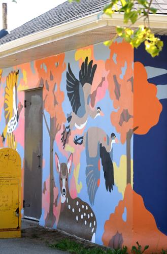 New Victoria Park mural was inspired by Indigenous history