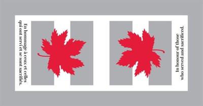 New veteran's crosswalks proposed in Mount Forest, Arthur