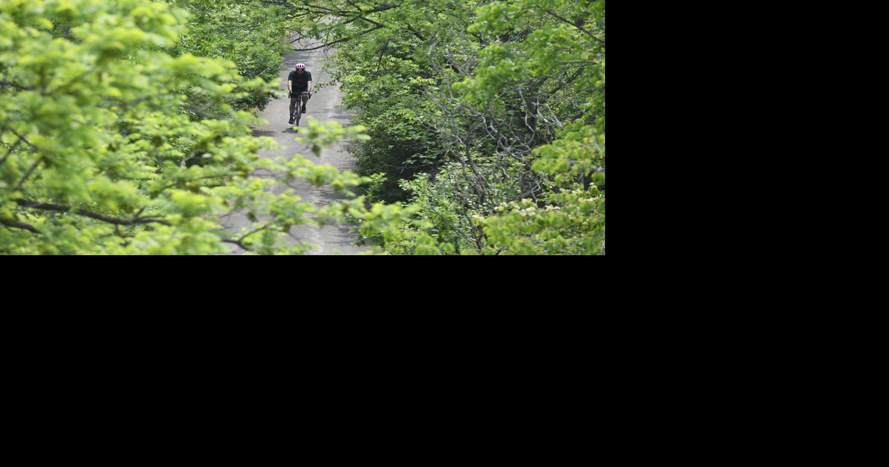 Discover five scenic spots to cycle in Hamilton