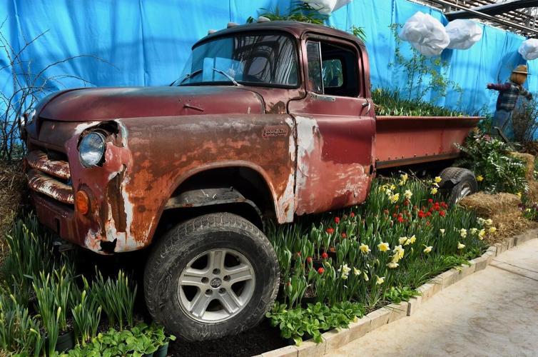 Spring Tide Bulb Show at Gage Park welcomes the season