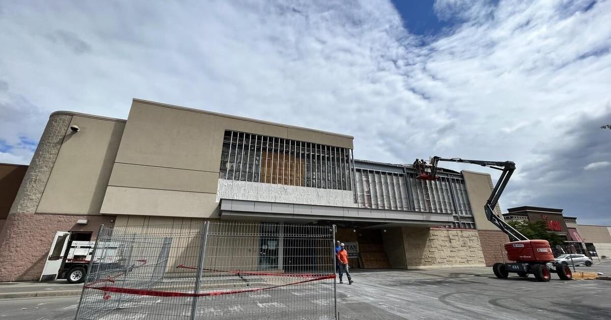 Dollarama, PetSmart to move into former east Hamilton Target location
