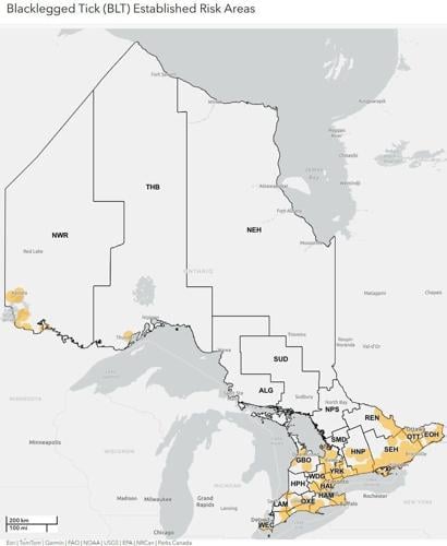Ticks are surging in Ontario in 2026; Toronto is a hot spot