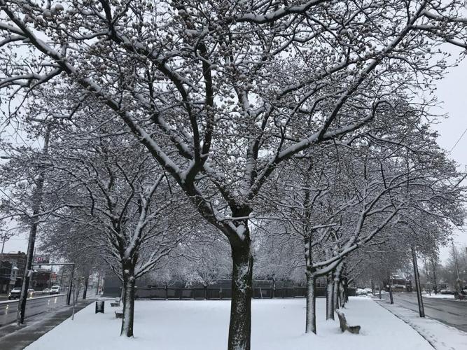 Winter travel advisory ends for Hamilton. See the snowfall in this time ...