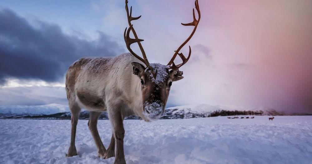 A cold case of benefit confusion