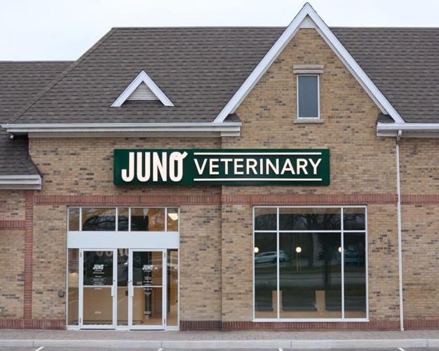 Burlington’s new vet clinic built with pet parents in mind