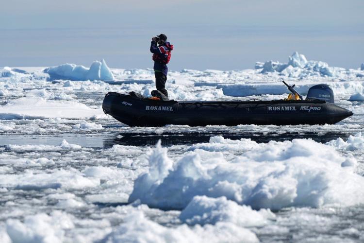 In Antarctica, photos show a remote area teeming with life amid growing ...