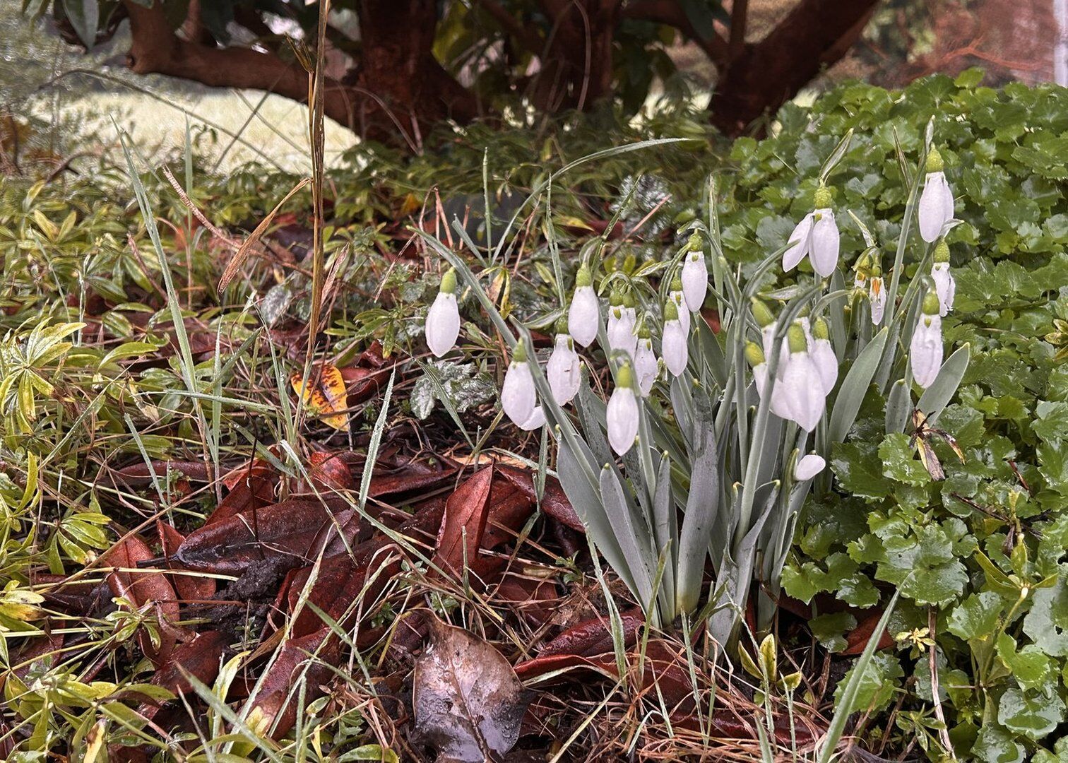 19 degrees in Bella Bella: B.C.'s warm February rewrites weather records