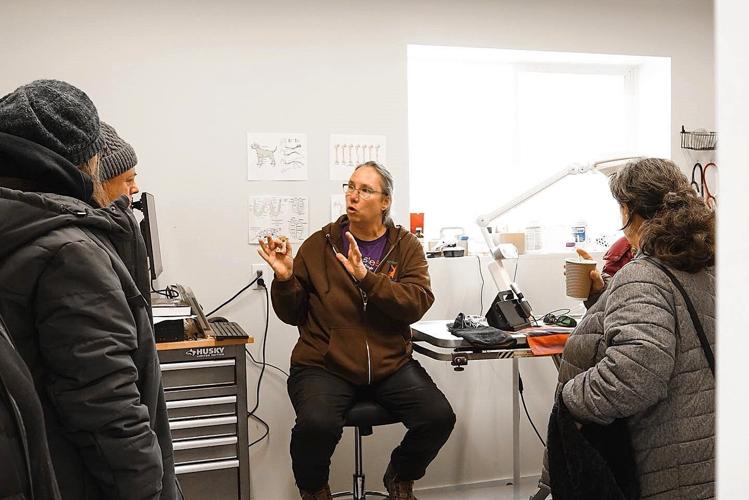 Surgery to save a swan is just another day at Hobbitstee