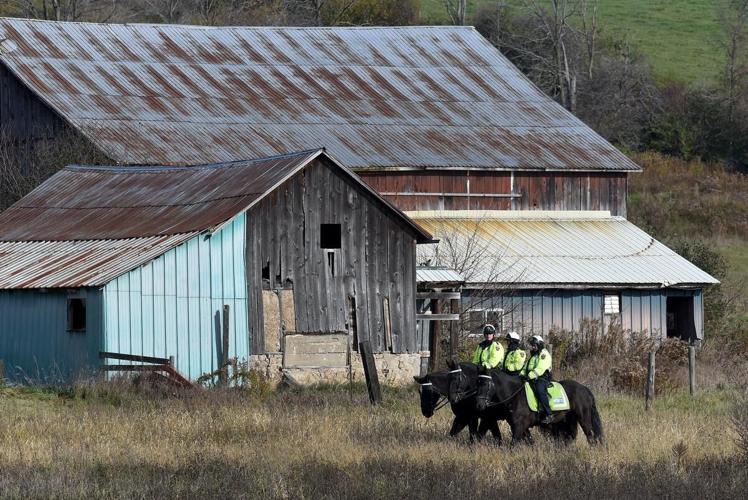 ‘A mystery inside a riddle’: Suspect in Nuseiba Hasan Hamilton cold ...