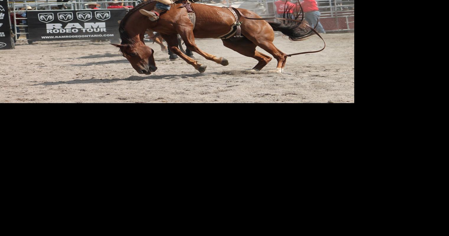 Binbrook Fair is back Sept. 17-19