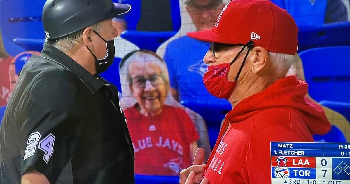 This Ancaster baseball Granny is the newest — two-dimensional — Blue ...