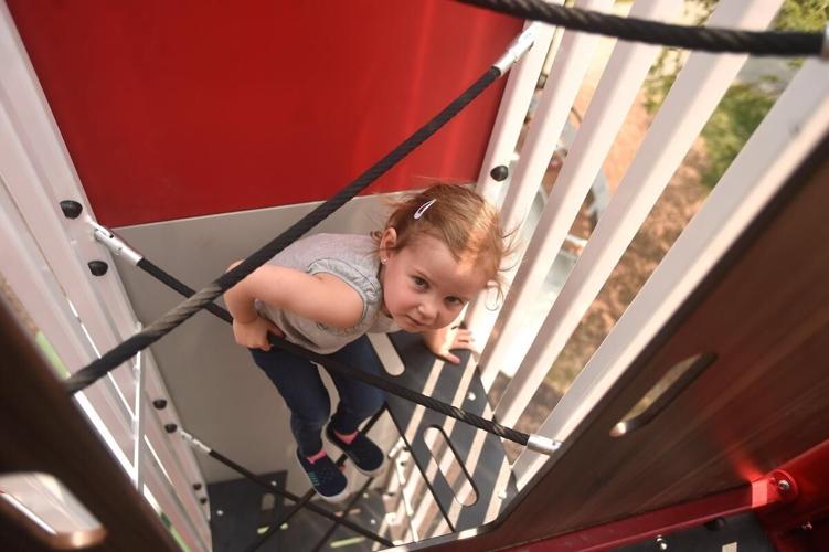 Waterloo Park accessible surface playground now open