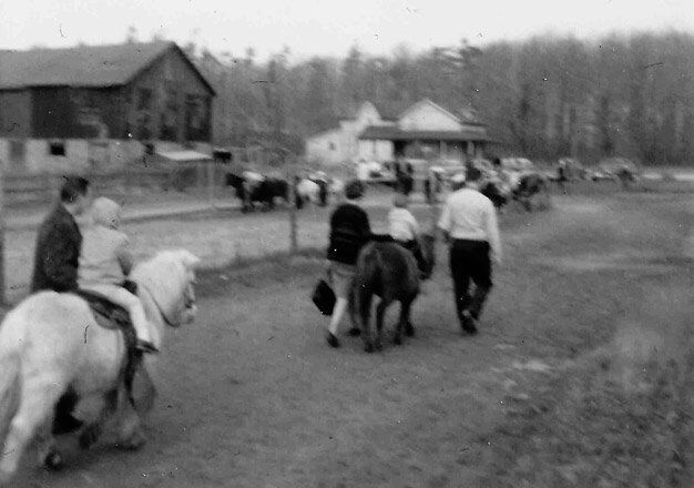 Murder of Etobicoke pony farm operator in 1960 remains a mystery