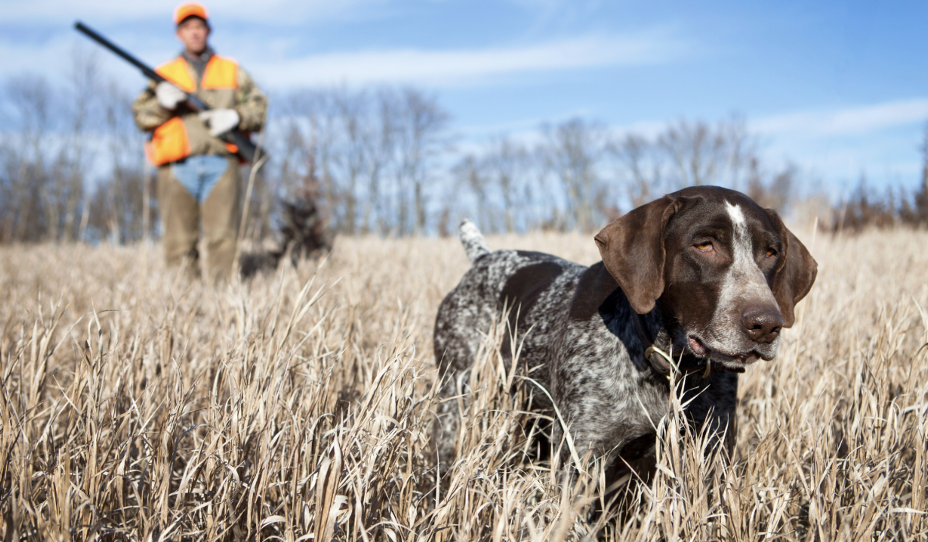 Tax Watchdog Slams Gun Buyback After ‘Embarrassing’ Pilot Results