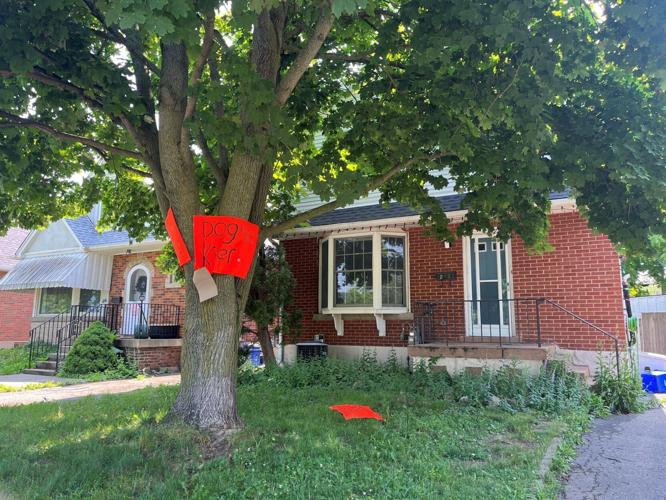 Second dog reported dead at Hamilton pet-sitting business