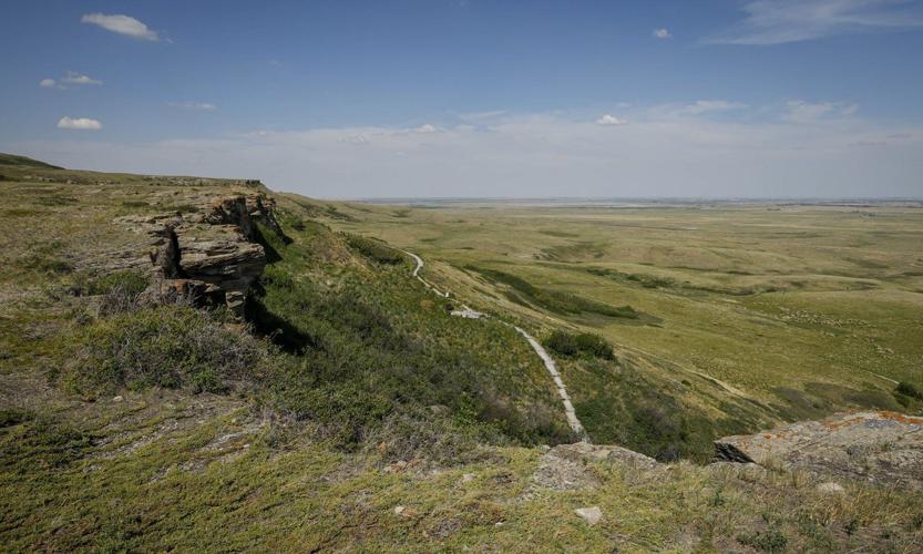 'The perfect trap': Archeologist reflects on decades at Head-Smashed-In ...
