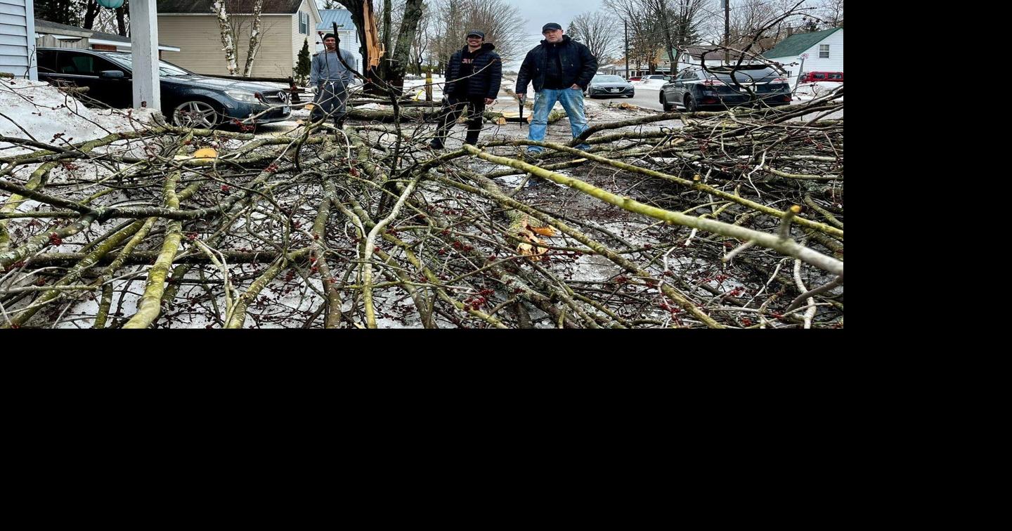 ‘It’s just a mess’: Muskoka storm aftermath brings fallen trees, power ...