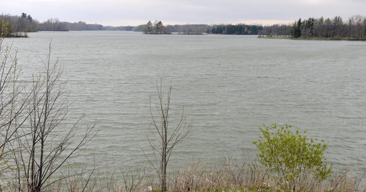 Binbrook Conservation Area beach reopens days after Lake Niapenco ...