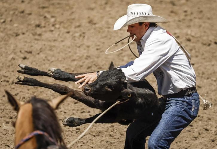 Photo Gallery: Calgary Stampede rodeo competition