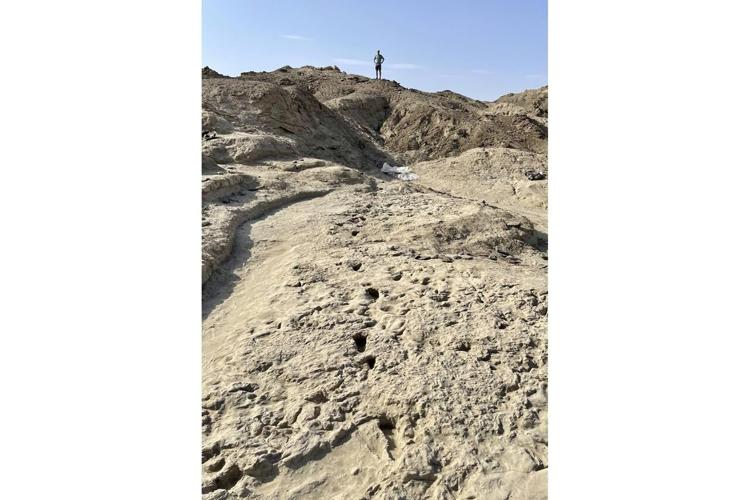 Muddy footprints suggest 2 species of early humans were neighbors in ...